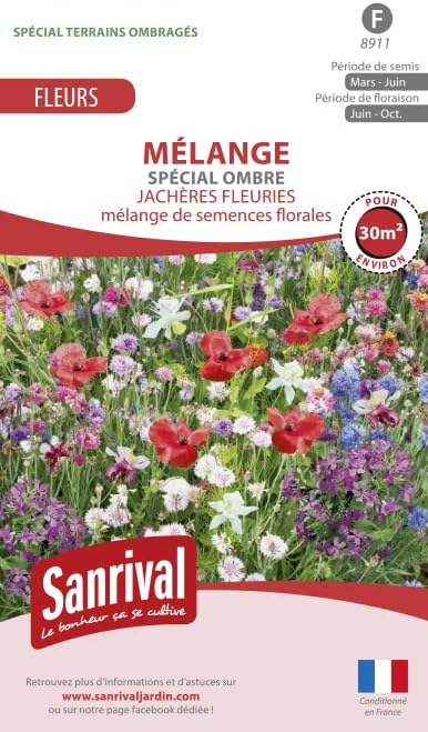 Sanrival Fleurs jachères vivace Demi Ombre : Amazon.fr: Jardin