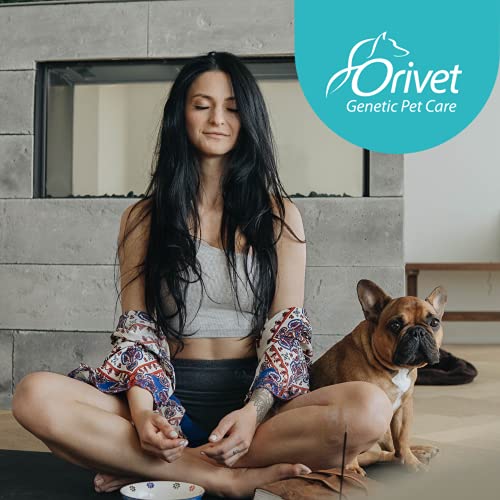 ORIVET Dog DNA Test Kit - French Bulldog Full Breed Profile | Puppy ...