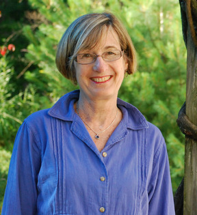 Amazon.com: Ginny Sullivan: books, biography, latest update