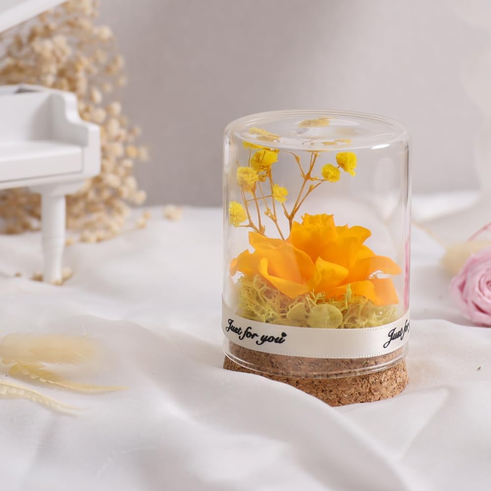 Amazon｜IwaiLoft MINI プリザーブドフラワー ギフト バラ プレゼント 枯れないお花のアレンジ 誕生日プレゼント・お祝い・発表会・贈り物に ガラスドーム 母の日 彼女 妻 ...