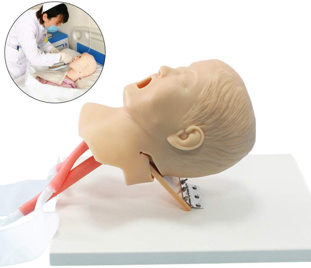 Buy Baby Intubation Model - Manikin Oral Nasal Airway Management ...