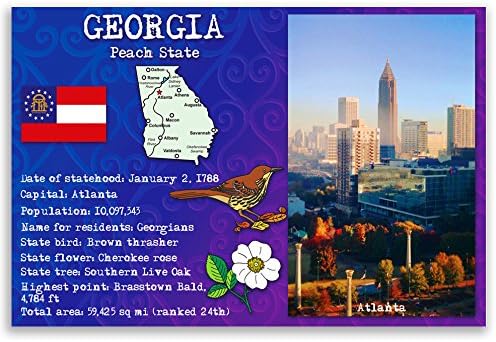 Amazon.com : GEORGIA STATE FACTS postcard set of 20 identical postcards ...