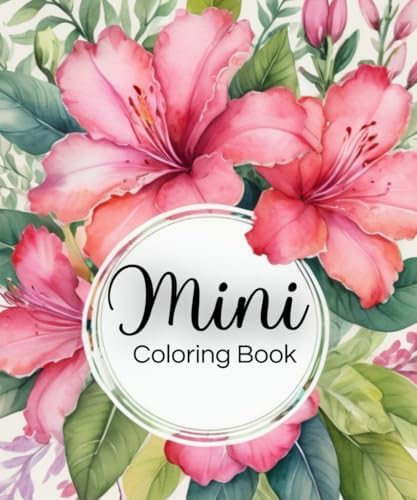Amazon.com: Mini Coloring Book: A Mindfulness Travel Size coloring book ...