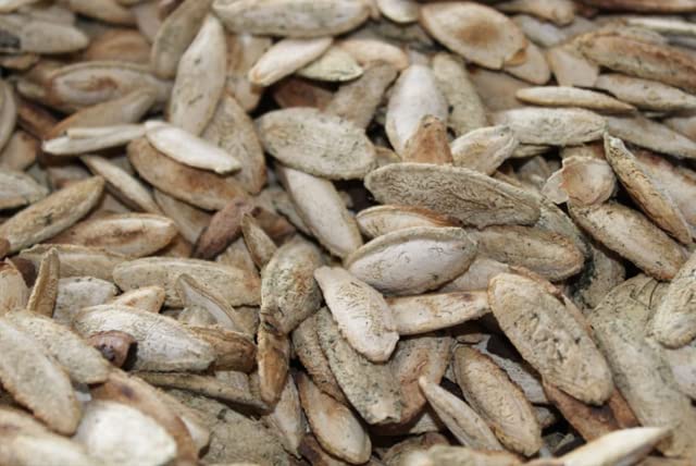Amazon.com : SEMILLAS PIPIANA COSIDA DE GUERRERO - 1lb : Grocery ...