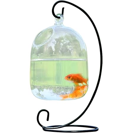 Amazon.com : RuiyiF Desk Hanging Fish Tank Bowl with Stand Creative ...