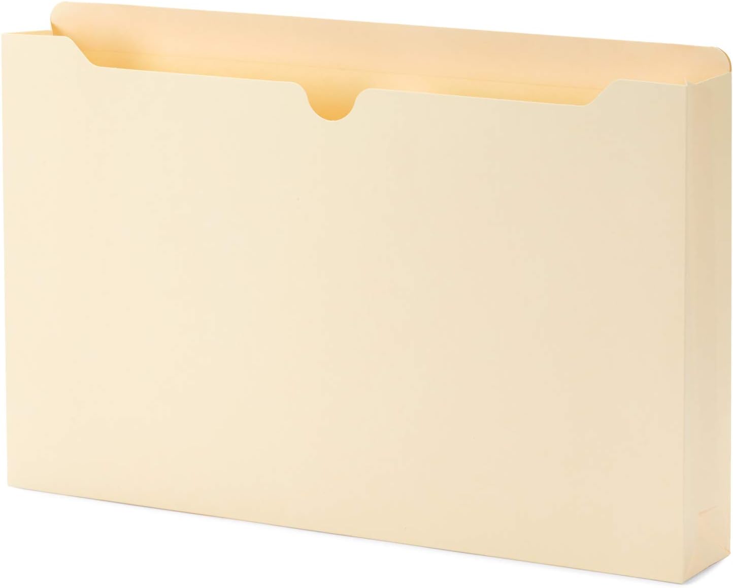 Amazon.com : 11x17 2-Inch Expanding Filing Folder, Pack of 10, Red Rope ...