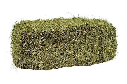 Heu Box – Die 15 besten Produkte im Vergleich & Angebote - aktualisiert ...