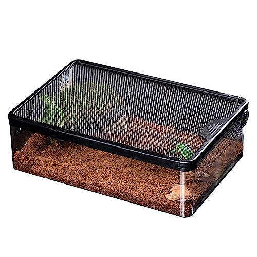 Armando tu kit terrario para tortugas de tierra - Mi Hogar