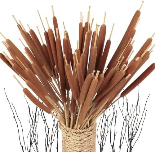 Amazon.com: 45pcs Large Natural Brown Cattails Bundles - Dried Flowers ...