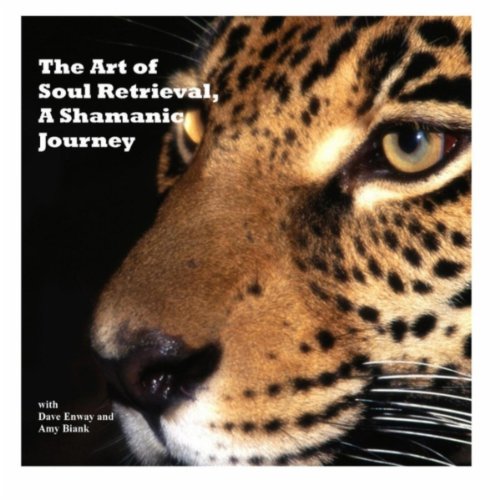 Amazon.com: The Art of Soul Retrieval : Amy Biank: Digital Music