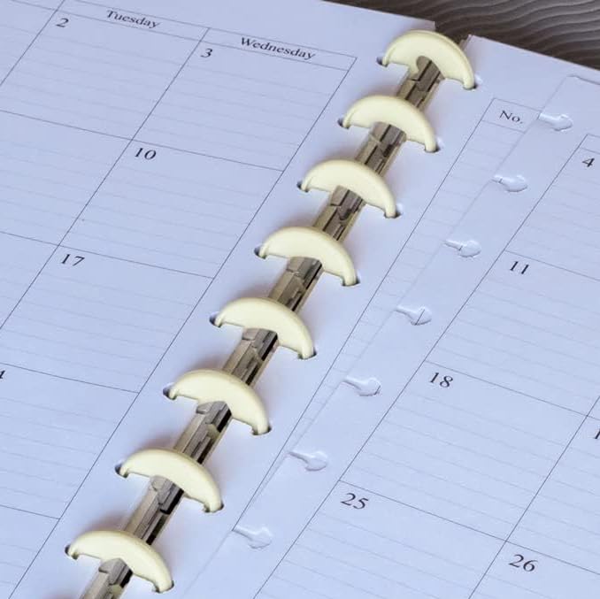 Snapklik.com : 2024 Daily Planner Refills For 8-Discbound Junior Size ...