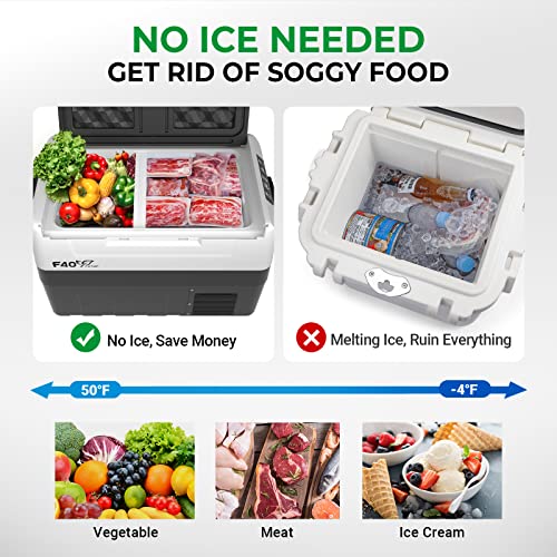 F40C4TMP 12 Volt Portable Refrigerator, 47 Quart Dual Zone Car Freezer ...