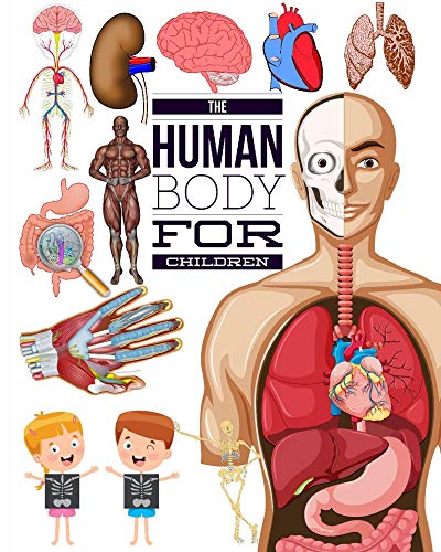 The Human Body for Children: My first interactive human body for kids ...