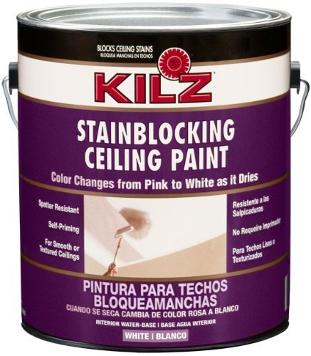 11 Best Ceiling Paints For Flawless Coverage
