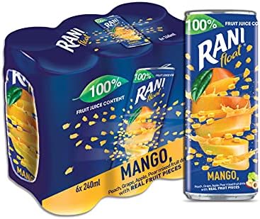 Amazon.com : Rani Float Mango Fruit Juice Drink, 100% Fruit Juice ...