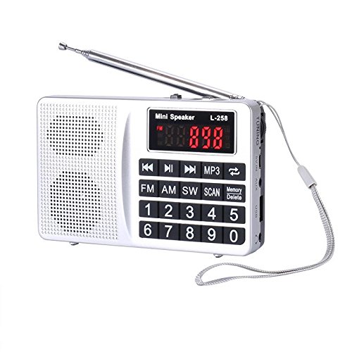 Lcj Portable Fm Am Shortwave Multiband Radio Receiver With Micro ...