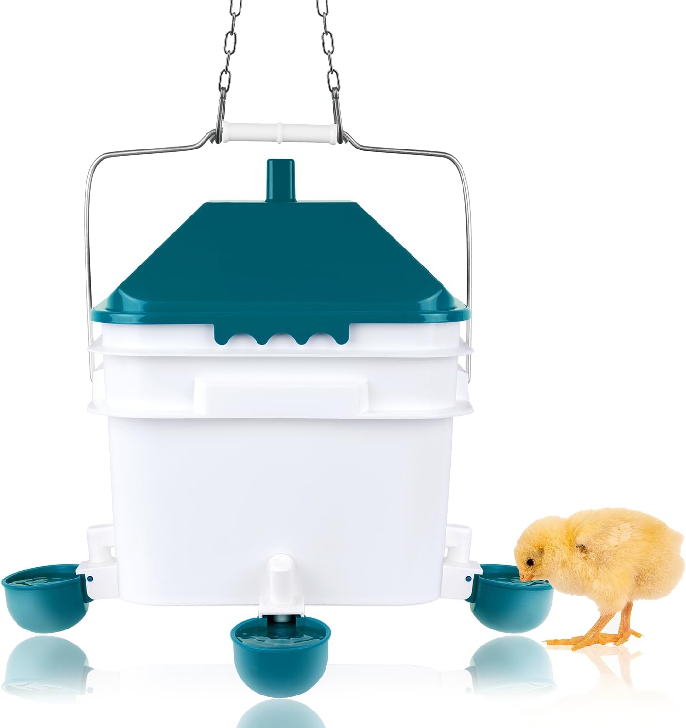 Amazon.com: Chicken Waterer with 4 Water Cups,2 Gallons Watering Bucket ...