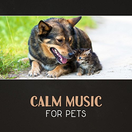 Amazon MusicでCalm Pets Music AcademyのCalm Music for Pets – Relax ...