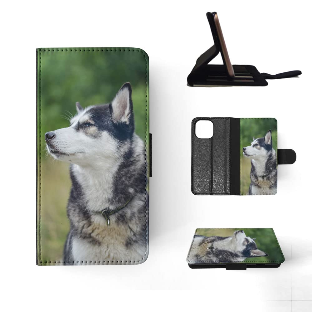 Are Siberian Husky Protective