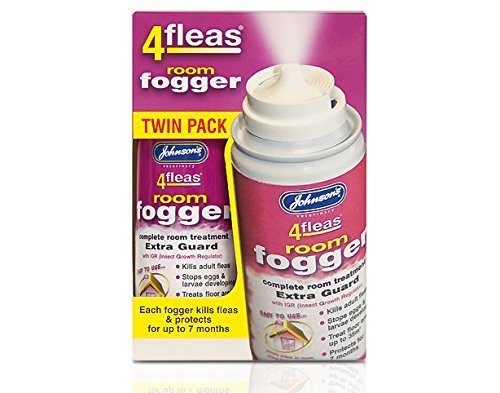 Best Flea Fogger UK - Internet Eyes