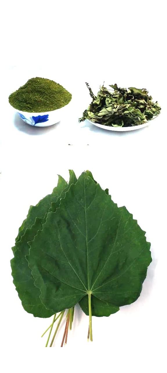 Buy Li6 ®™ Kharethi Leaves Powder - 100g - Thuthi, Kanghi, Abutilon ...