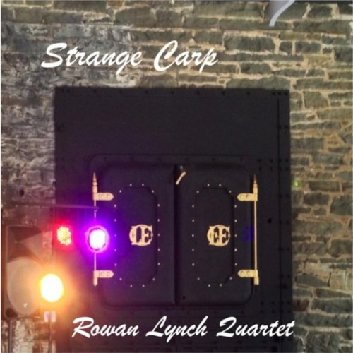 Amazon.com: Strange Carp : Rowan Lynch Quartet: Digital Music