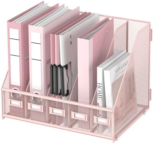 Amazon.com : DALTACK Desk Organizers Magazine Binder Folder Holder with ...