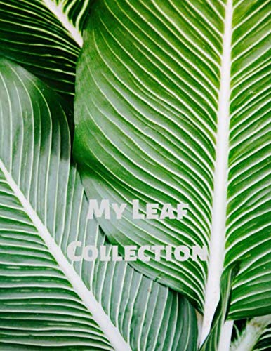 My Leaf Collection: Activity Book for Adults and Kids of All Ages in 8. ...