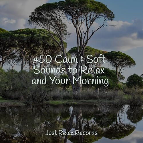 #50 Calm & Soft Sounds to Relax and Your Morning von Nature Sounds ...
