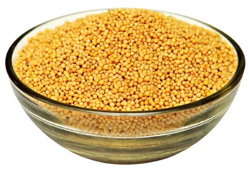 Yellow Mustard Seed | Peeli Sarson | Whole Pilli Sarso 500GM : Amazon ...