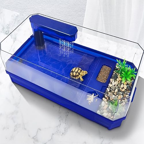10 Best Musk Turtle Enclosures to Keep Your Terrapins Happy - Furry Folly