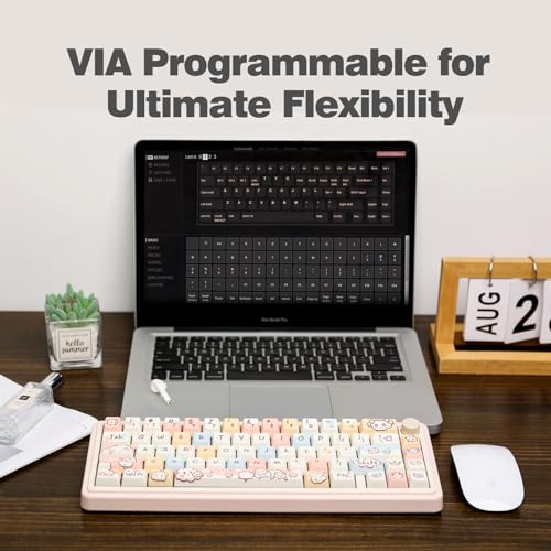 Snapklik.com : EPOMAKER CIDOO Nebula 65% Mechanical Keyboard, VIA ...