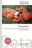 ・製造元:OmniScriptum