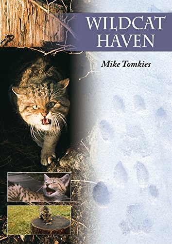 Amazon.co.jp: Wildcat Haven (English Edition) 電子書籍: Tomkies, Mike: 洋書