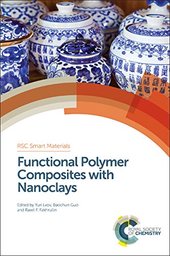 Amazon.com: Functional Polymer Composites with Nanoclays (Smart ...