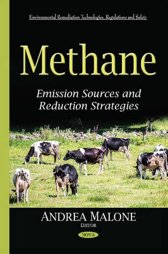 Methane: Emission Sources and Reduction Strategies (Environmental Remediation Technologies ...