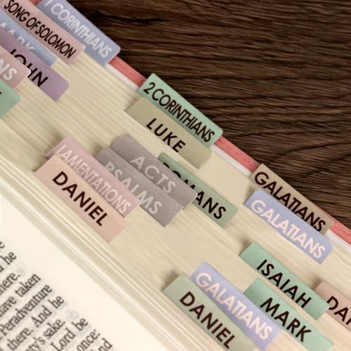 Amazon.com: 120 Pcs Bible Tabs for Study Bible, New & Old Testament ...
