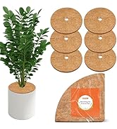 Amazon.com : MUGVELL 11.8 Inch Coconut Fiber Mulch Ring, 3 Pcs Tree ...