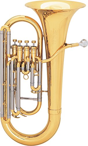 15 Best Euphonium Reviews 2022 – Best Euphonium Brands - CMUSE