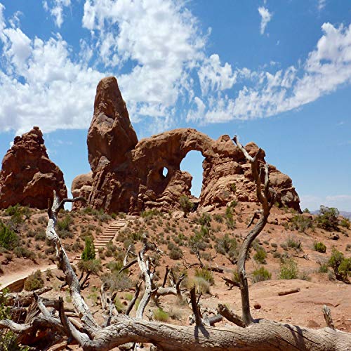 Play Private Without the Lies by Taini Barnardo on Amazon Music