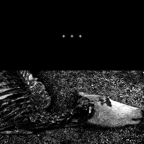 Play + + + by The Adding Machine on Amazon Music