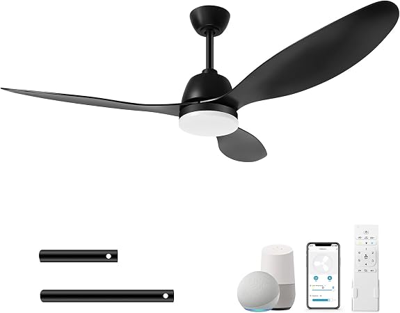 Amazon.com: WISD 52 Inch Smart Ceiling Fans with Lights and Remote ...