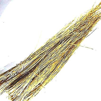 Buy NEALEXKLUSIVE® Kusha Grass Darbha Grass for Pooja, Sradh, Marriage ...