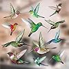Amazon.com: 12-Pack Hummingbird Window Clings - Lifelike, Colourful ...