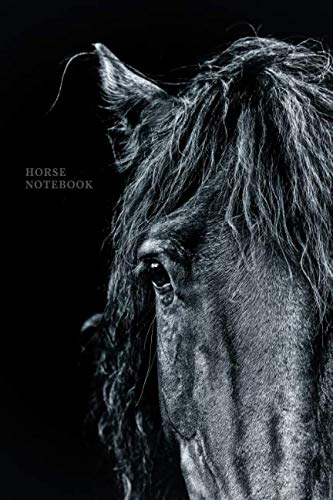 Horse Notebook: Black Horse Notebook, 110 Blank Pages, 6" x 9 ...