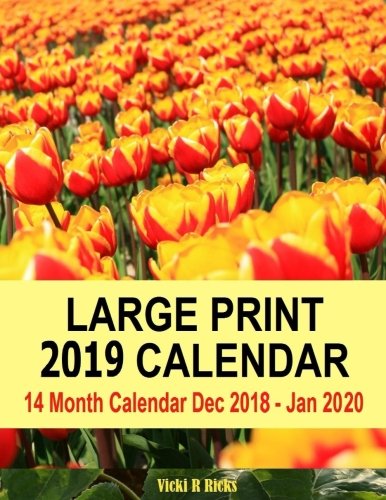 Large Print 2019 Calendar: 14 Month Large Print Calendar for 2019 ...