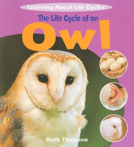 The Life Cycle of an Owl (Learning About Life Cycles) : Thomson, Ruth ...