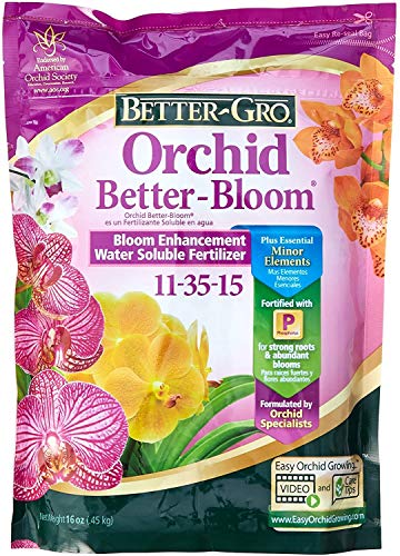 Can I Use Orchid Fertilizer on The Christmas Cactus?