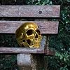 Amazon.com: Sinromrich Resin Gold Skull Model - Life Size High Fidelity ...