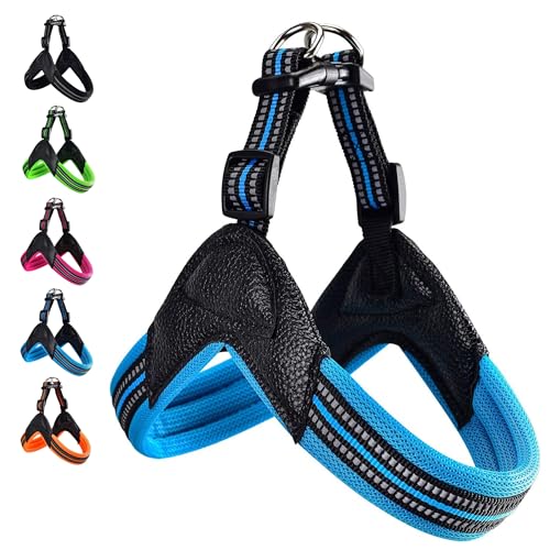 Step In Harness for Dogs – The 15 best products compared - Wild Explained